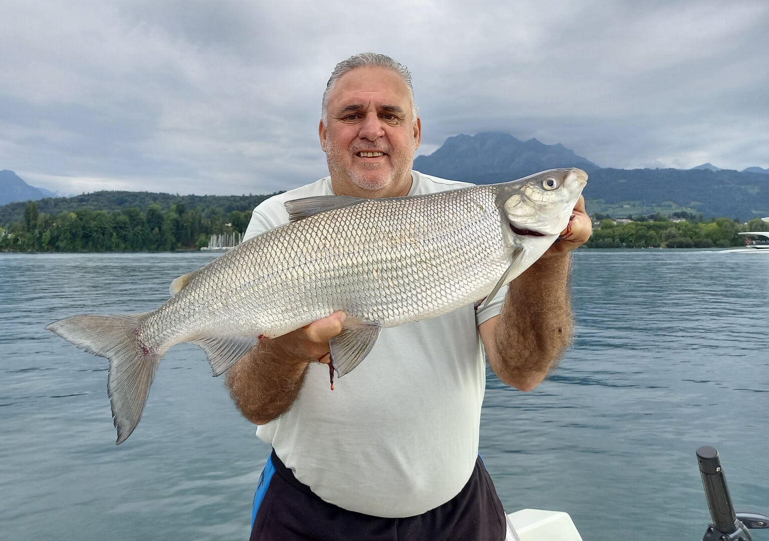 petri-heil.ch | Kapitale Fänge